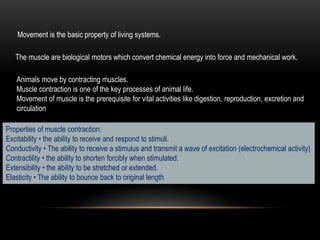 Histology and Physiology of muscle | PPTX