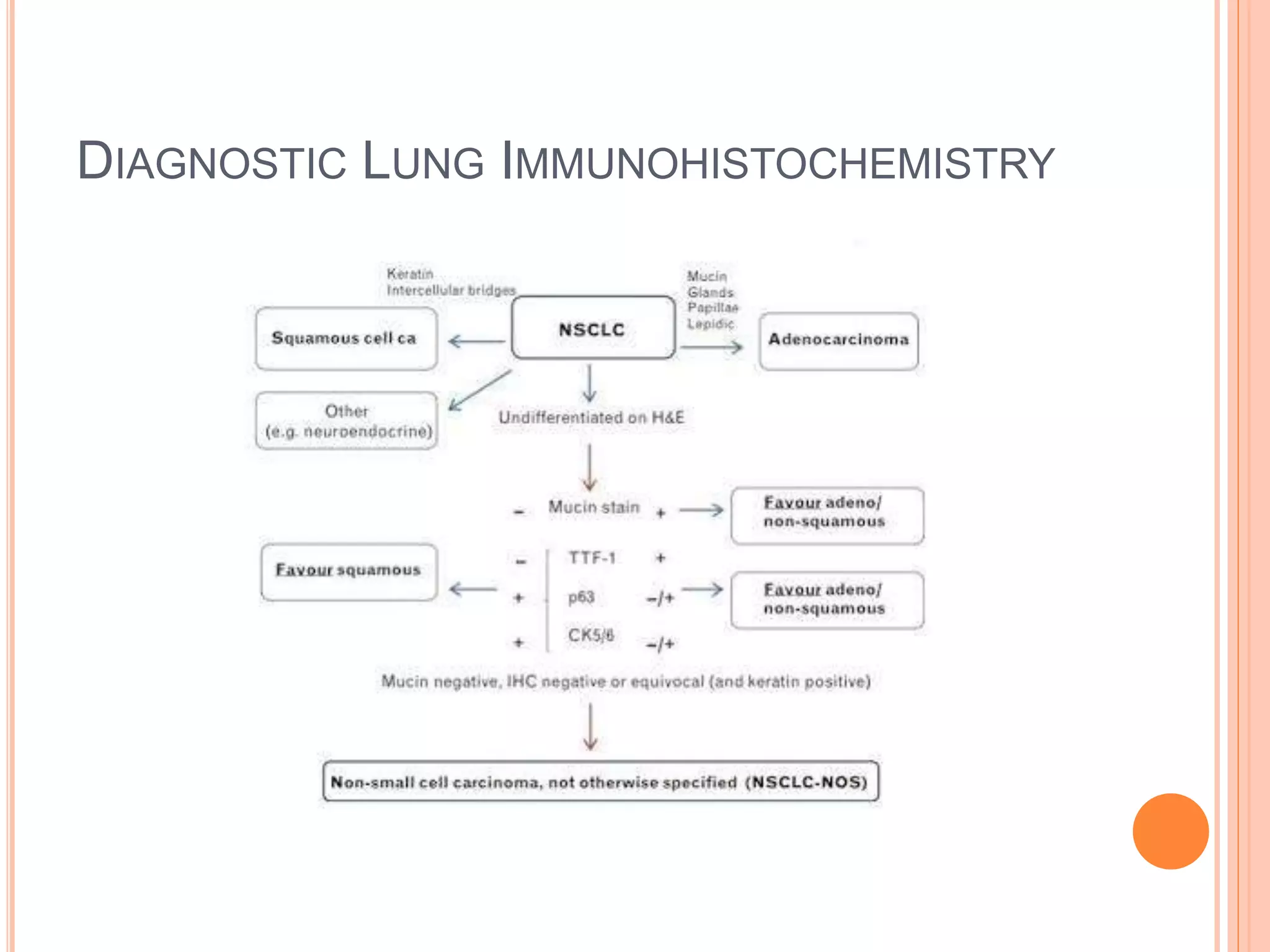 Histology and staging of lung cancer & metastatic | PPTX