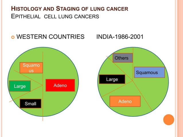 Histology and staging of lung cancer & metastatic | PPT