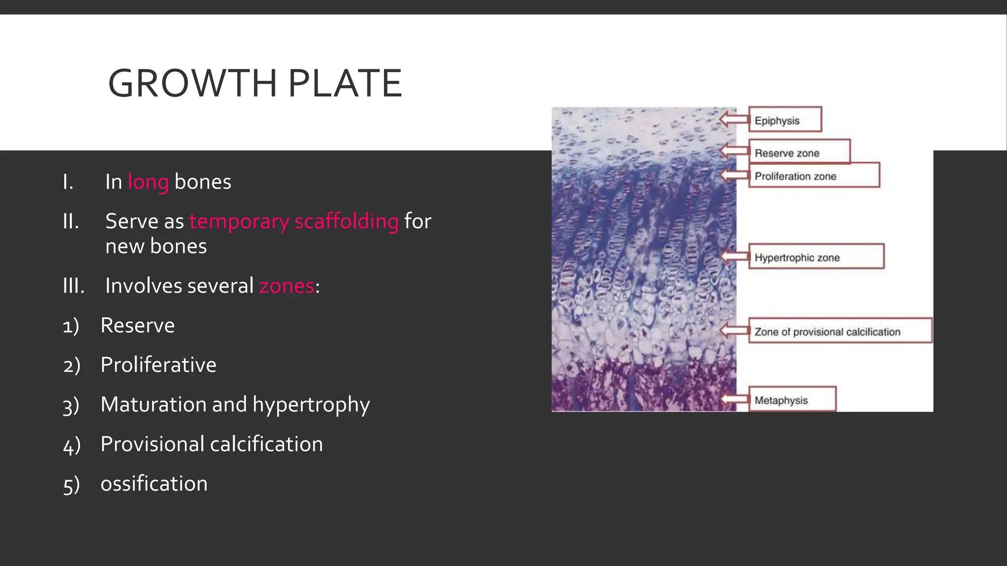 histology presentation of cartilage and bone | PPTX