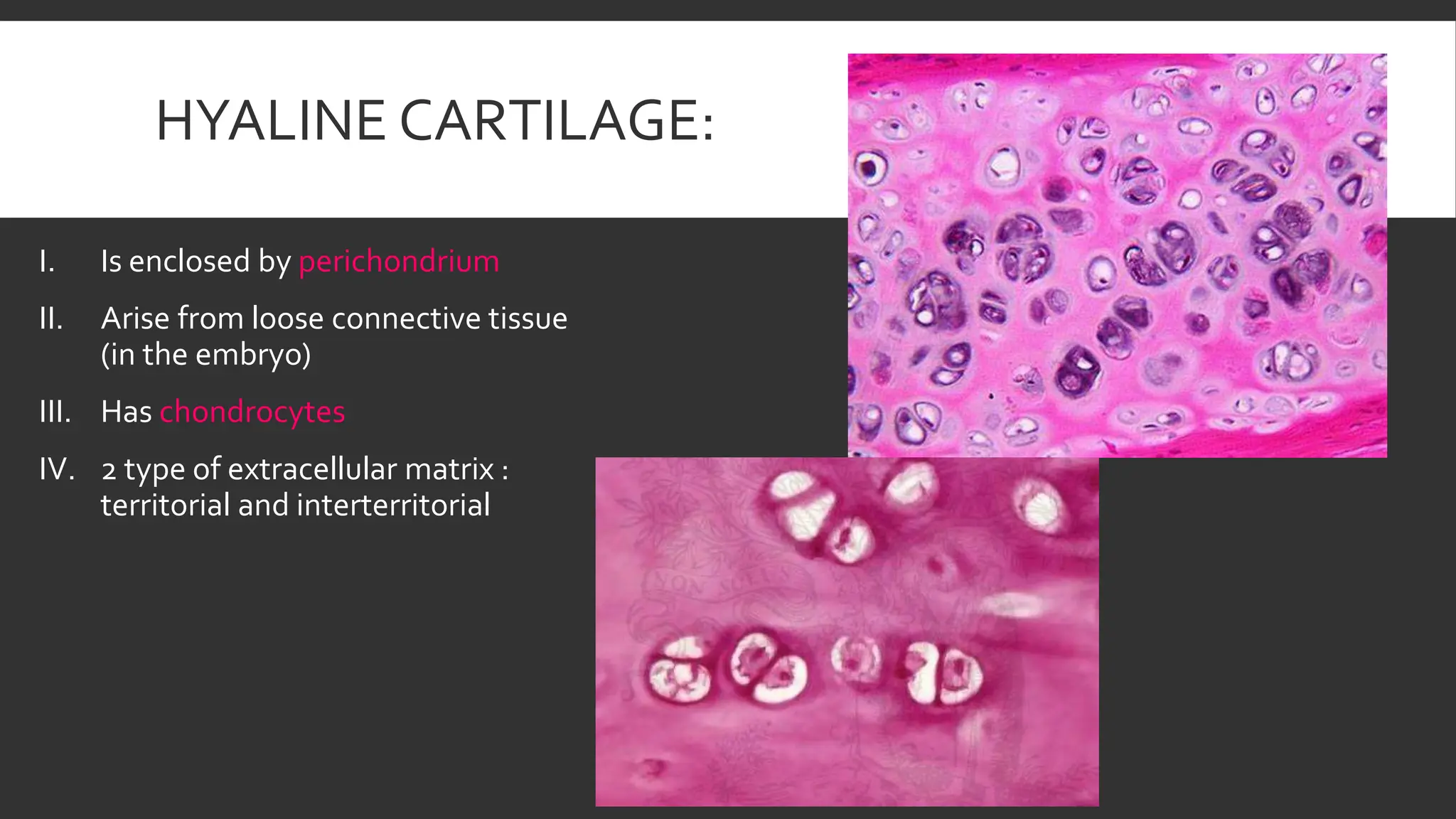 histology presentation of cartilage and bone | PPTX