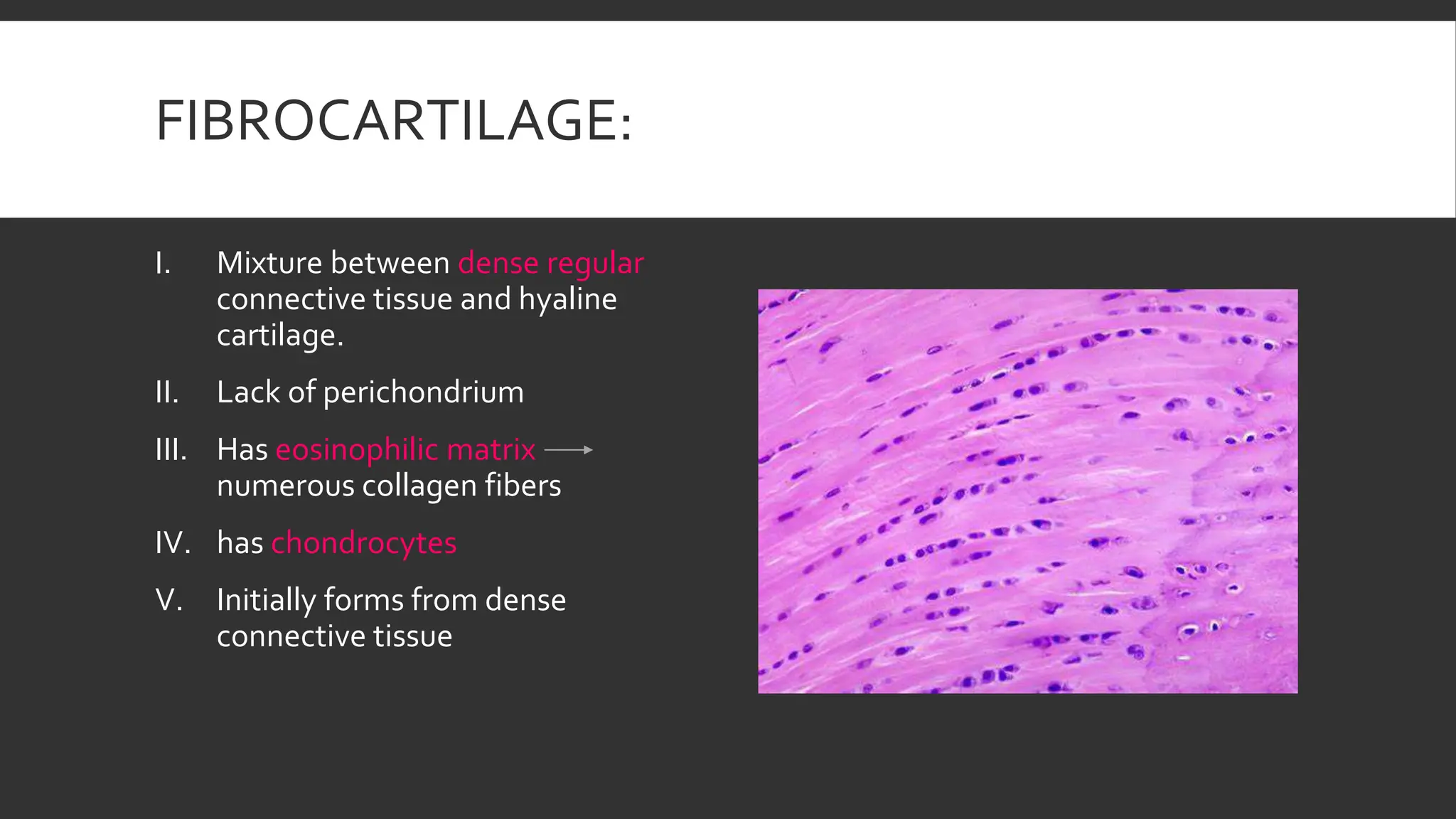 histology presentation of cartilage and bone | PPTX