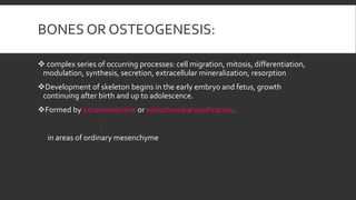 histology presentation of cartilage and bone | PPTX