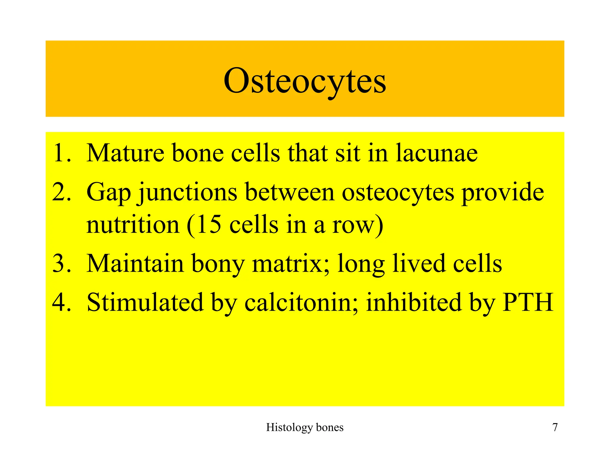 histology bones.pdf