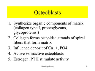 histology bones2.pdf