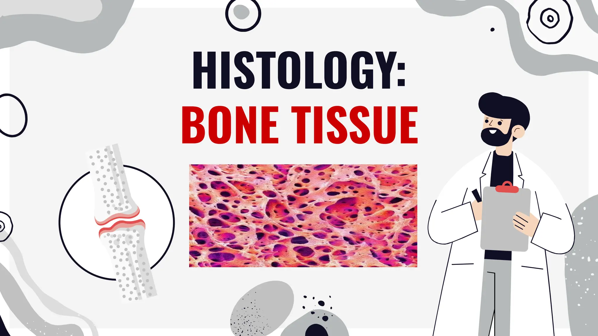 Presentation on the topic- Histology: BONE TISSUE | PDF