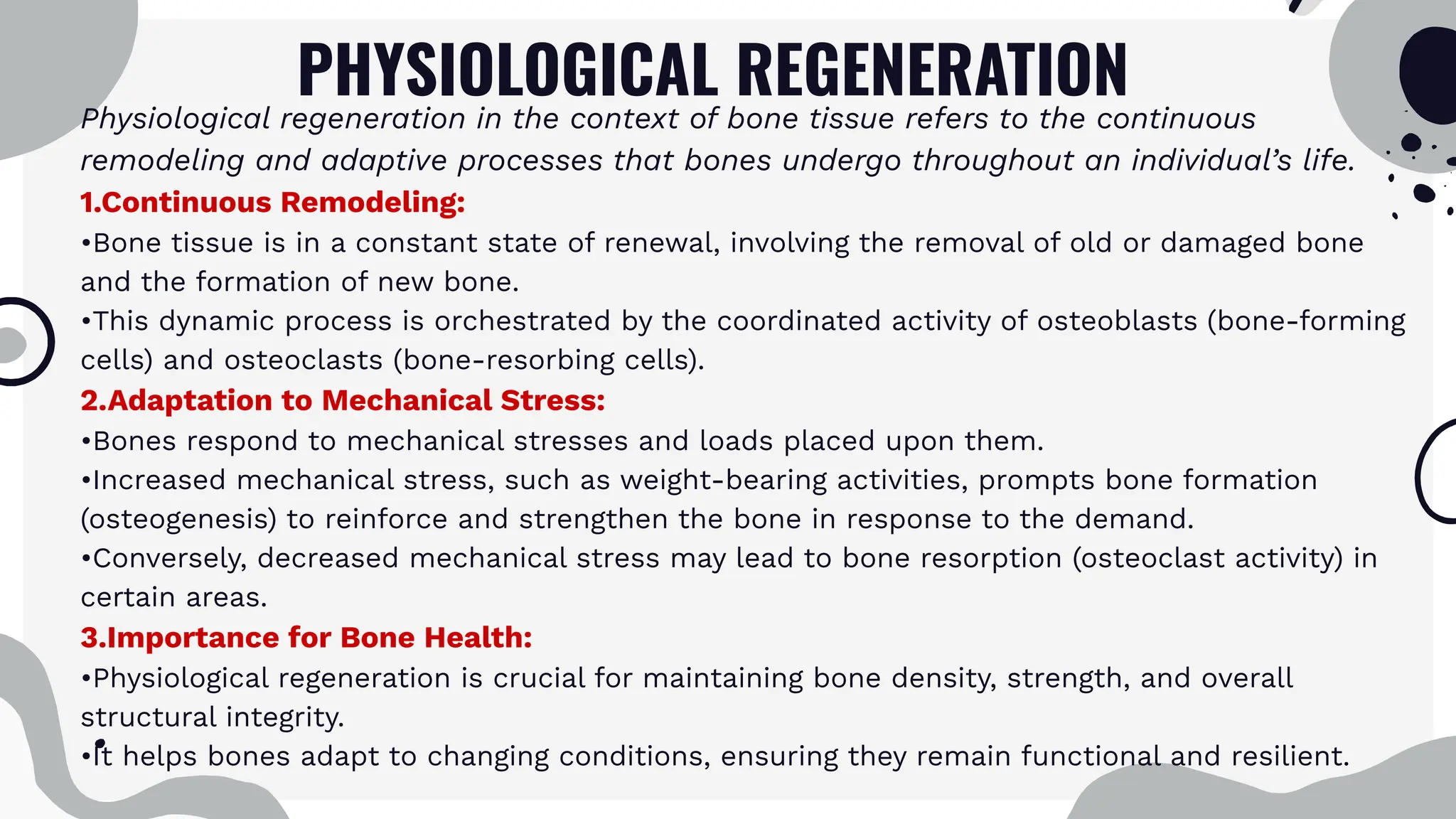 Presentation on the topic- Histology: BONE TISSUE | PDF