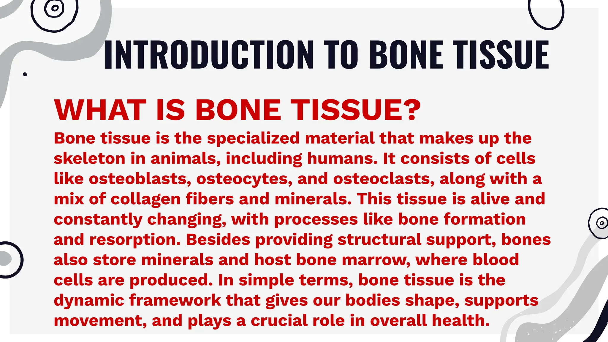 Presentation on the topic- Histology: BONE TISSUE | PDF