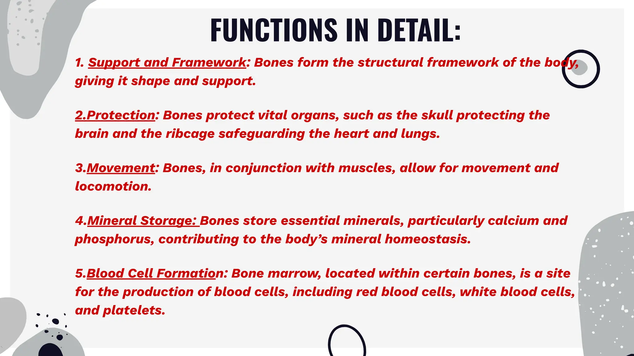 Presentation on the topic- Histology: BONE TISSUE | PDF