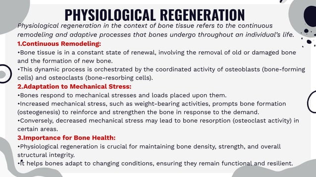 Presentation on the topic- Histology: BONE TISSUE | PDF | Bone and Joint Conditions | Diseases ...