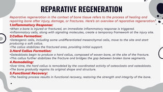 Presentation on the topic- Histology: BONE TISSUE | PDF