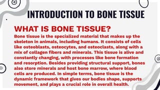 Presentation on the topic- Histology: BONE TISSUE | PDF