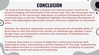 Presentation on the topic- Histology: BONE TISSUE | PDF