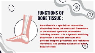 Presentation on the topic- Histology: BONE TISSUE | PDF