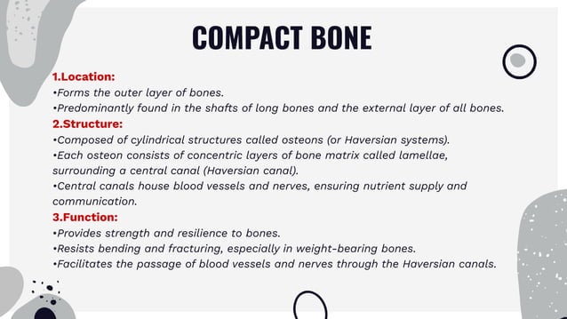 Presentation on the topic- Histology: BONE TISSUE | PDF | Bone and Joint Conditions | Diseases ...