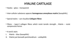 Histology Cartilage with features and microanatomy | PPTX