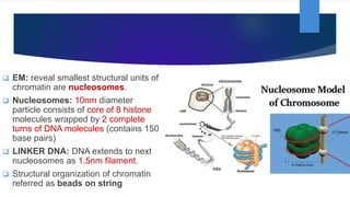 Histology Cell Junction & Nuclear Component by Dr. Rabia I. Gandapore.pptx