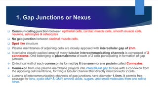 Histology Cell Junction & Nuclear Component by Dr. Rabia I. Gandapore.pptx