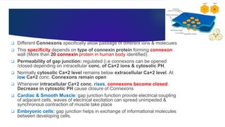 Histology Cell Junction & Nuclear Component by Dr. Rabia I. Gandapore.pptx