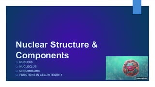 Histology Cell Junction & Nuclear Component by Dr. Rabia I. Gandapore.pptx