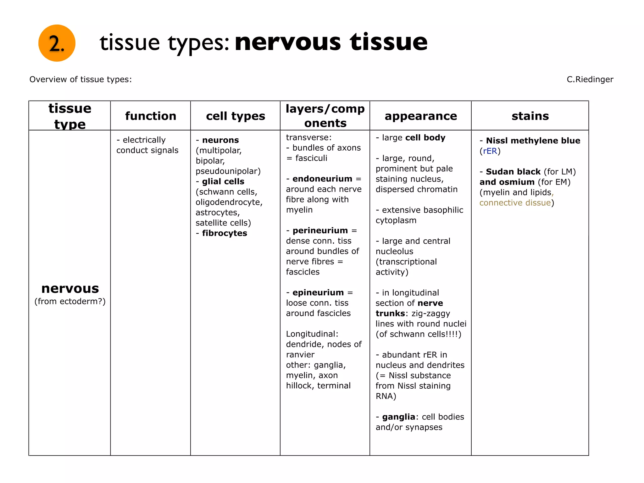 Histology 1st year medschool | PDF