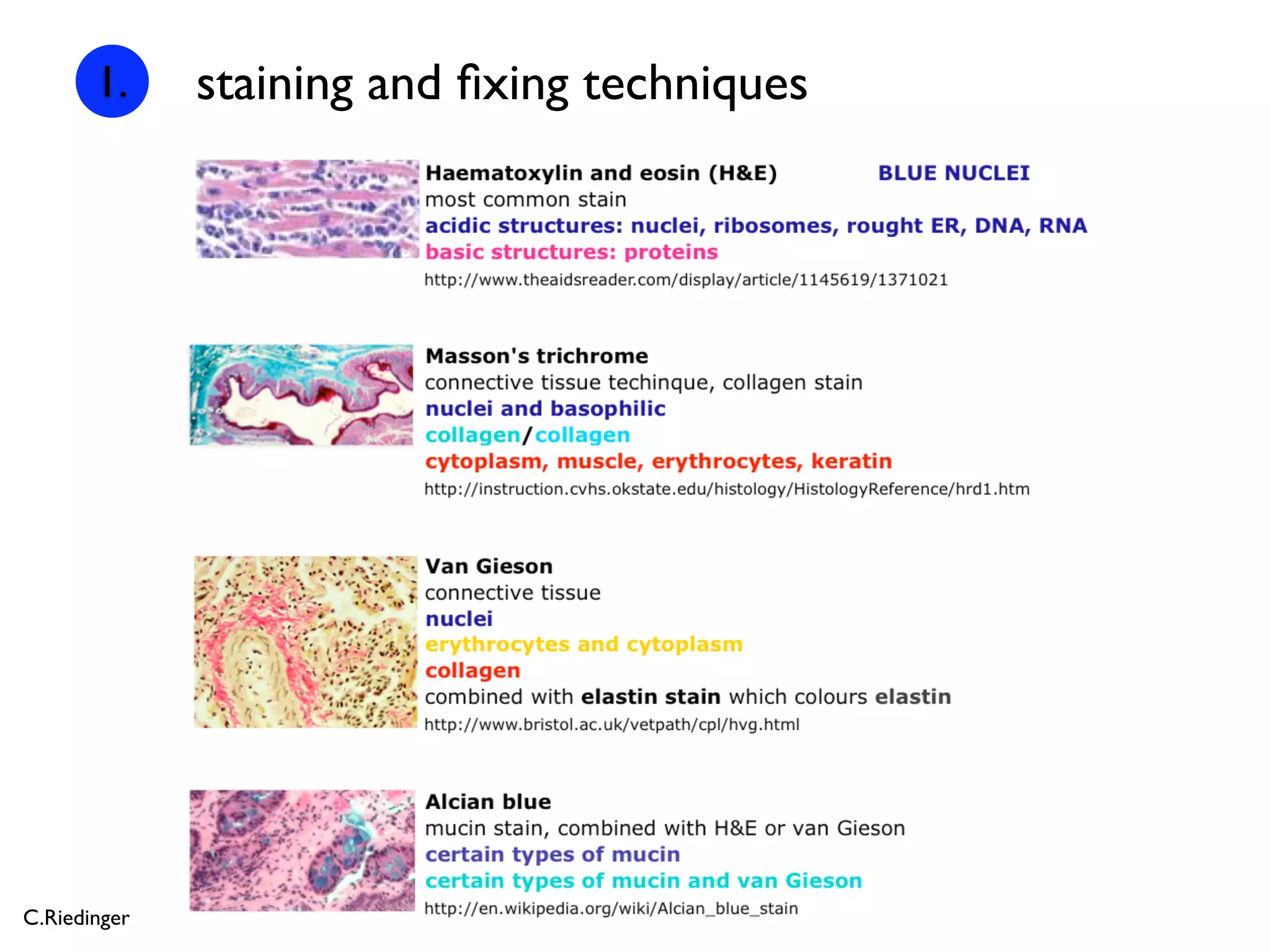 Histology 1st year medschool | PDF