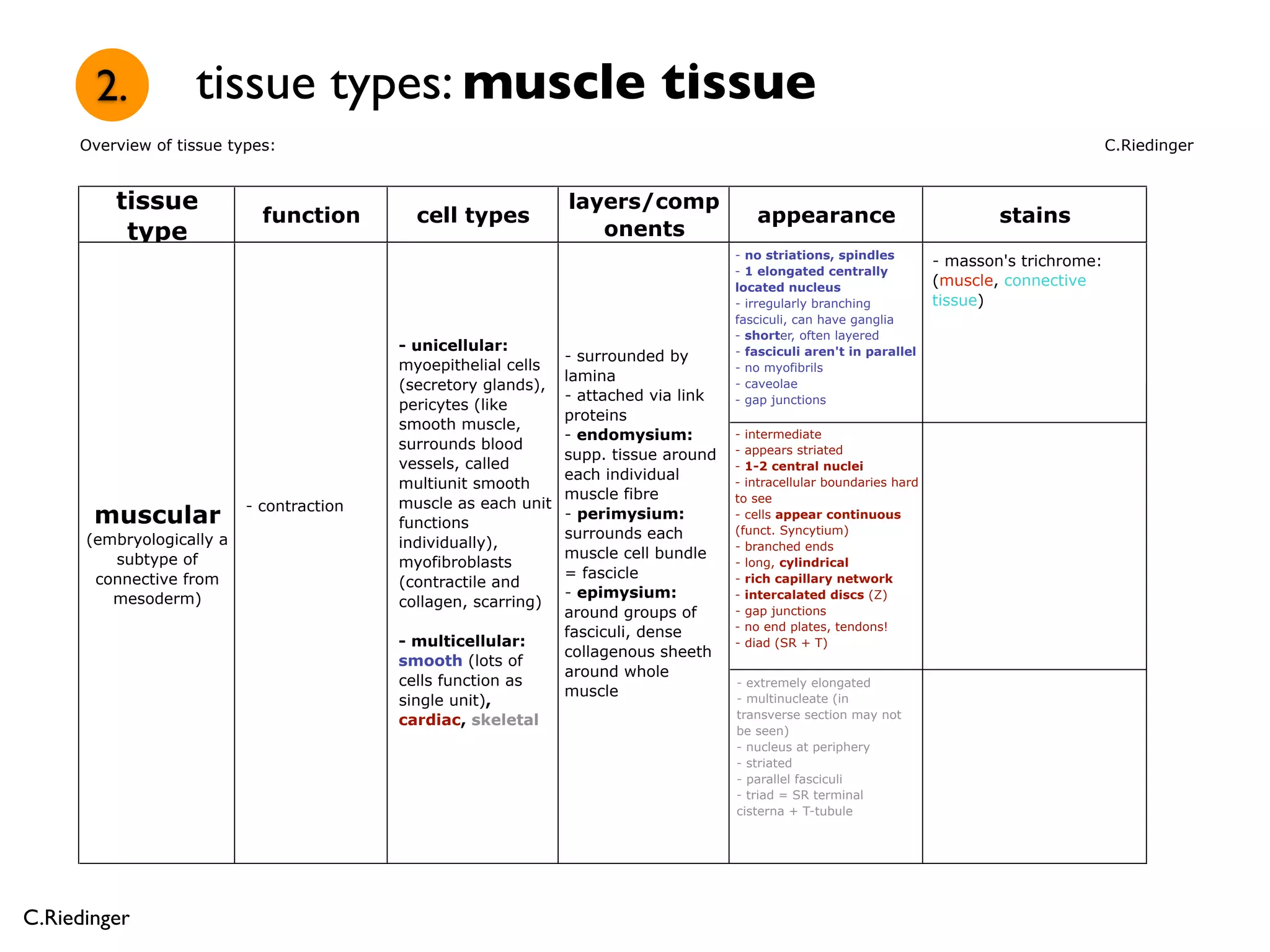 Histology 1st year medschool | PDF