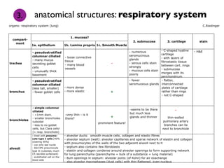 Histology 1st year medschool | PDF