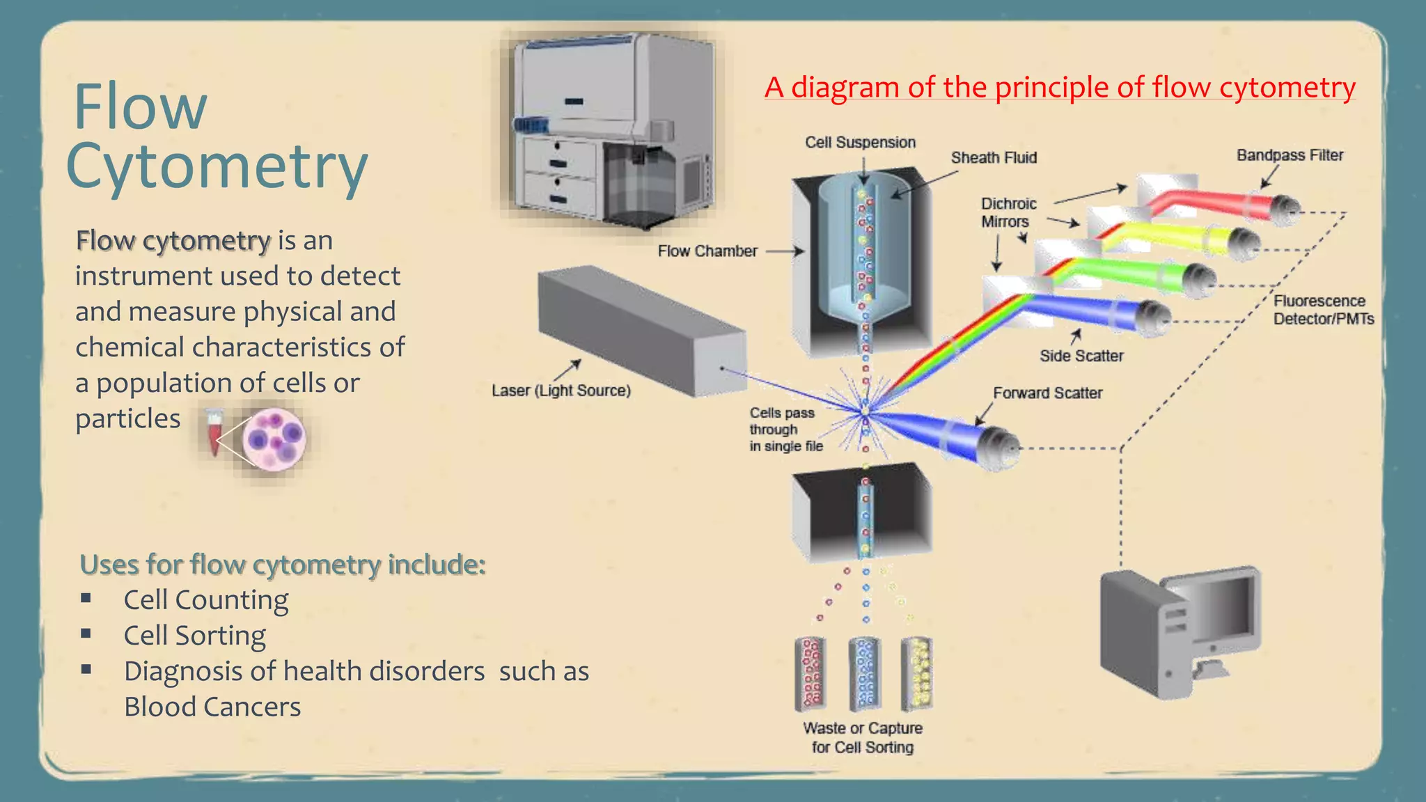 Histology & Cytology Instruments | PPTX