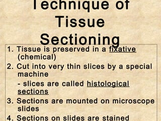 Histology epithelial tissue | PPT