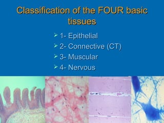 Histology epithelial tissue | PPT | Lung and Respiratory Health ...