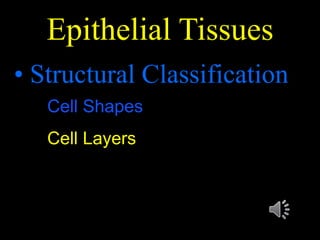 Histology Epithelium.pdf