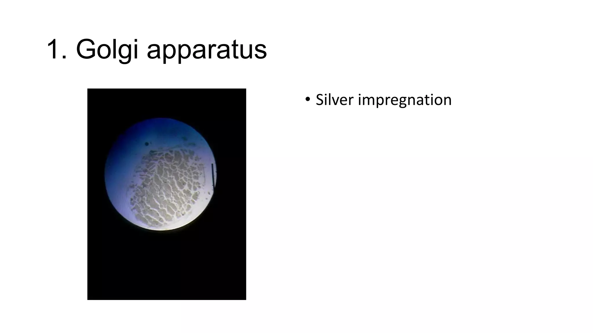 Histology - Micropreparations for Examination | PPTX