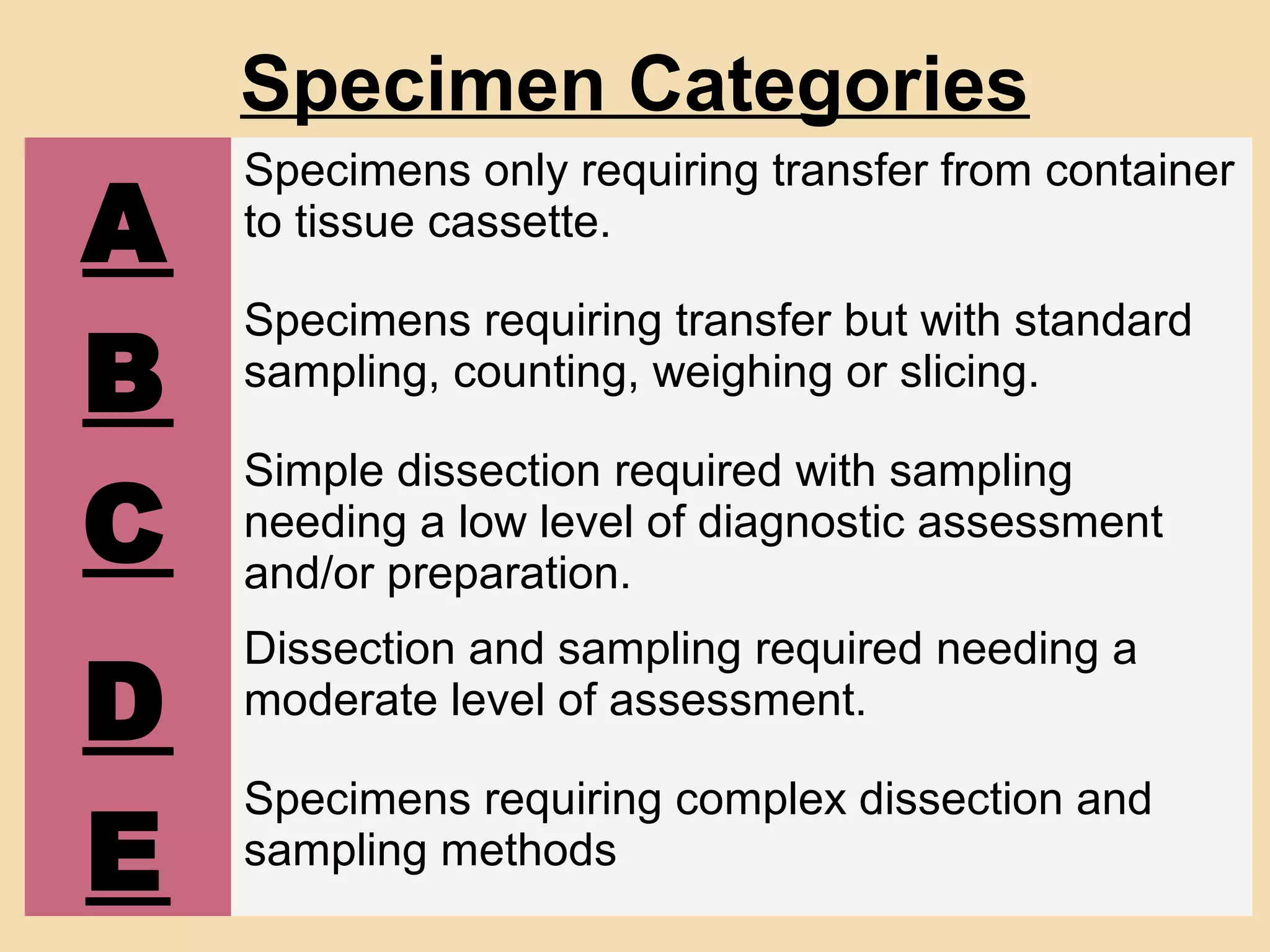 Histopathology In Practice - Sample Reception, Dissection, Processing, Embedding. | PPT