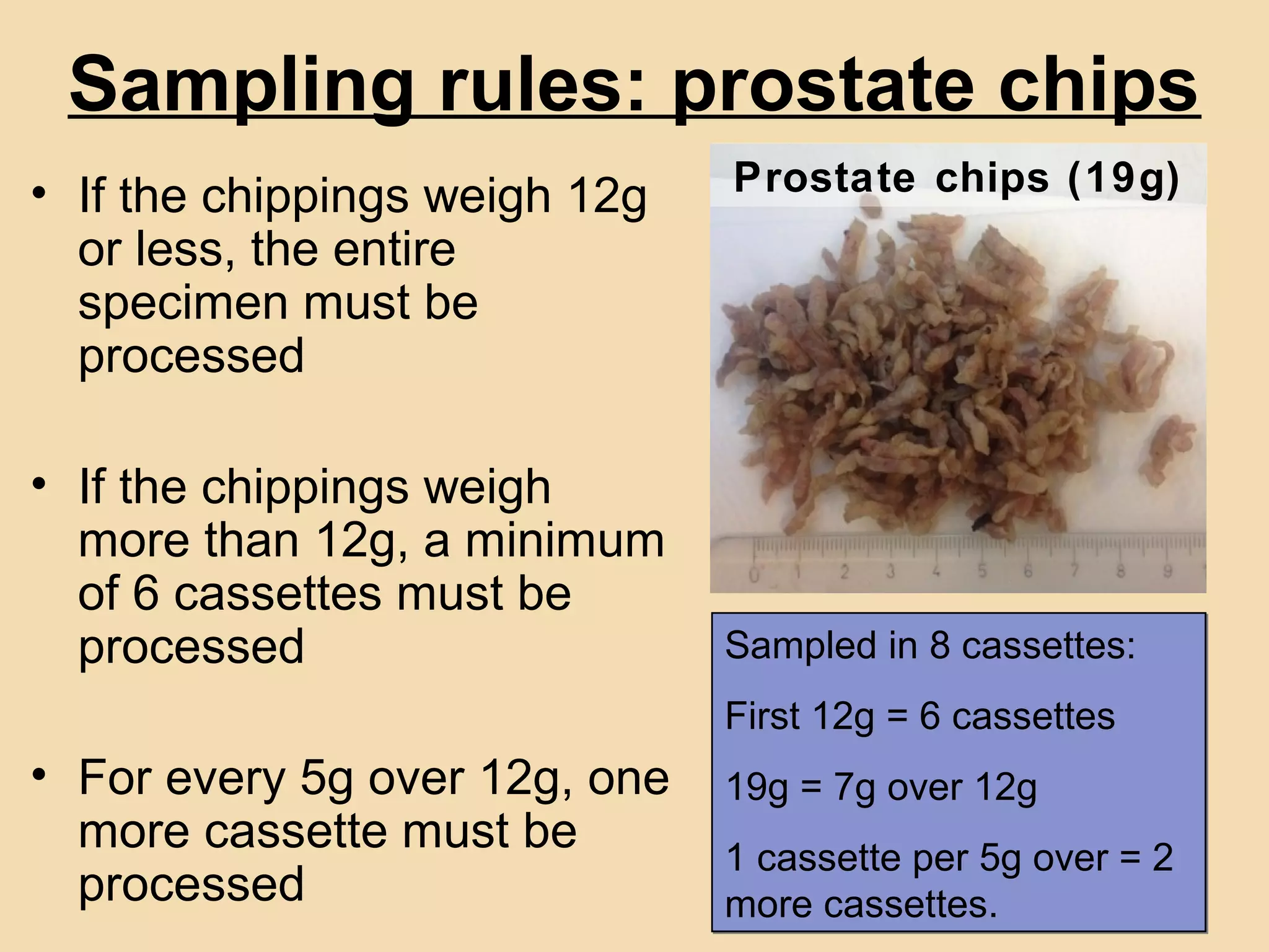 Histopathology In Practice - Sample Reception, Dissection, Processing, Embedding. | PPT