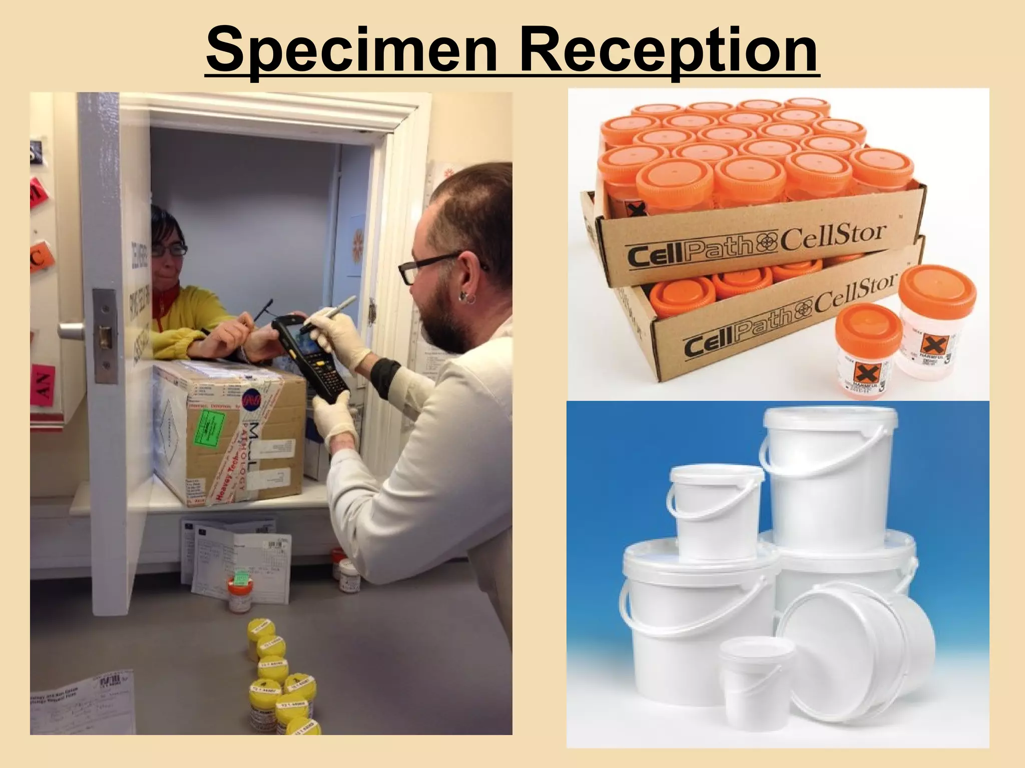Histopathology In Practice - Sample Reception, Dissection, Processing, Embedding. | PPT