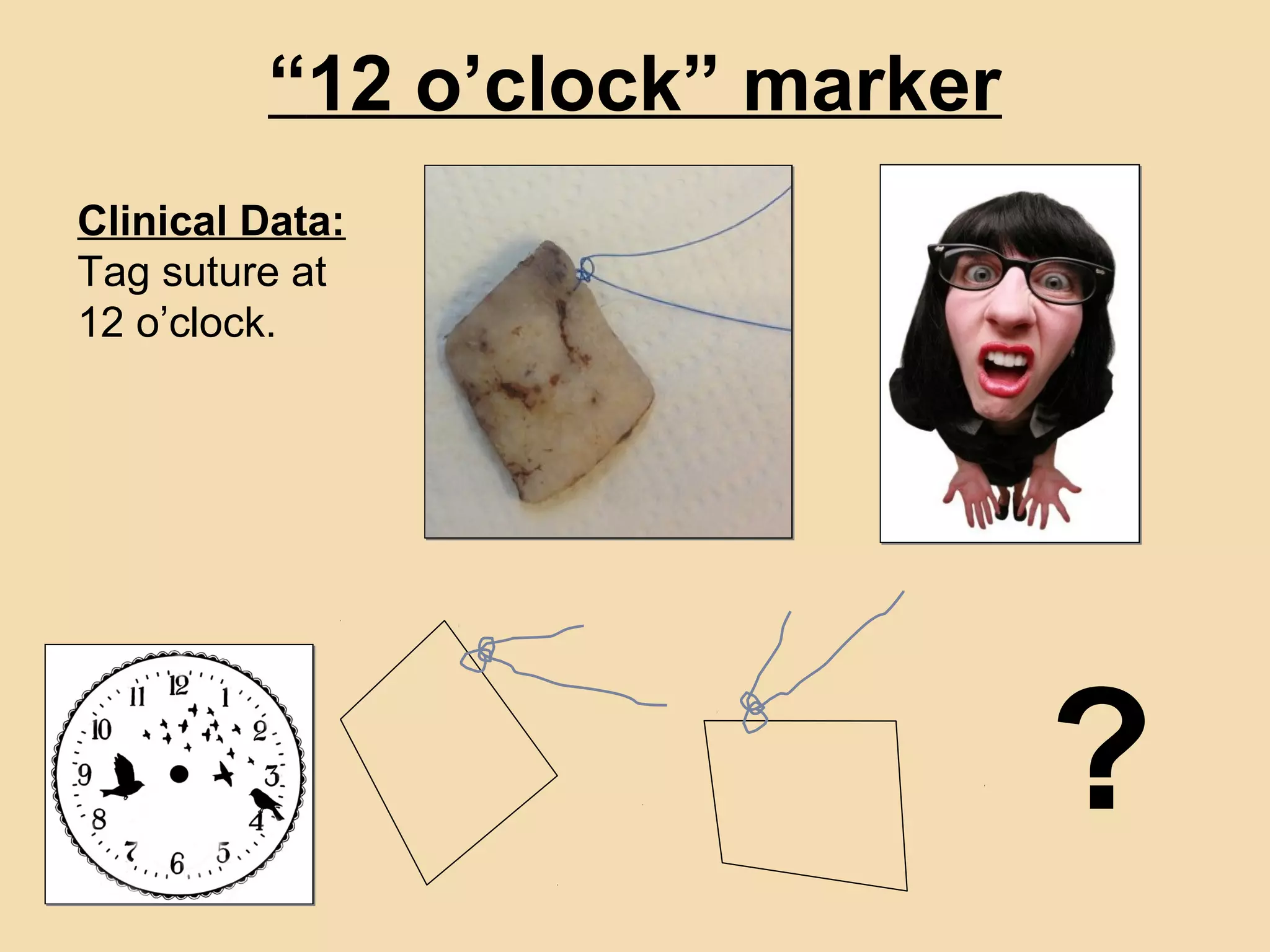 Histopathology In Practice - Sample Reception, Dissection, Processing ...