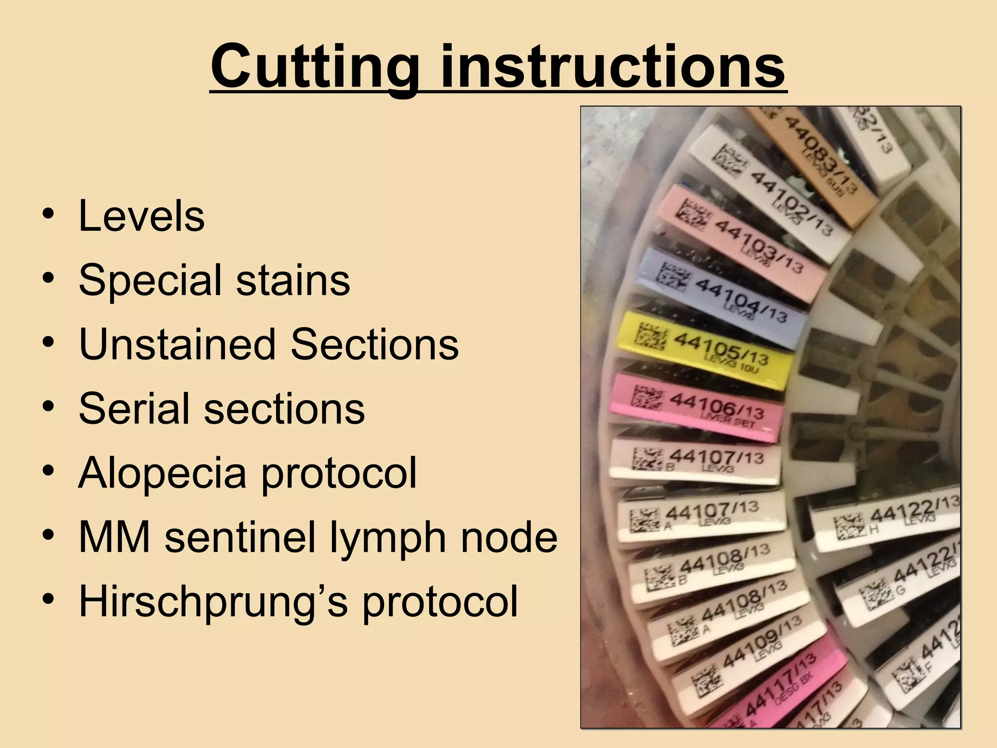 Histopathology In Practice - Sample Reception, Dissection, Processing, Embedding. | PPT