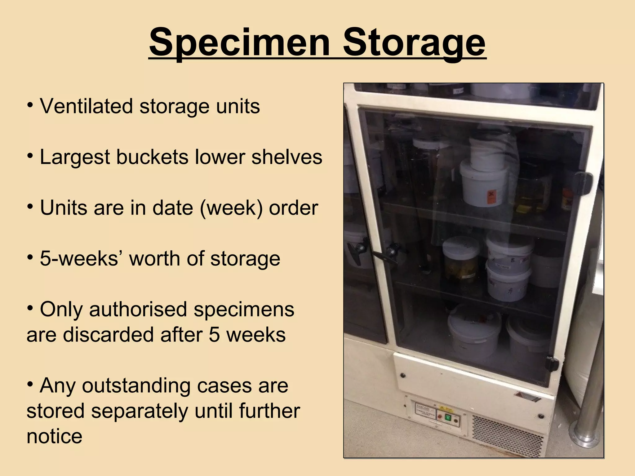 Histopathology In Practice - Sample Reception, Dissection, Processing, Embedding. | PPT