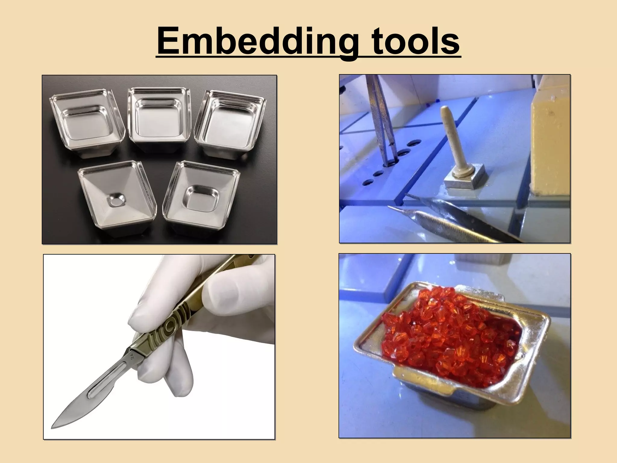 Histopathology In Practice - Sample Reception, Dissection, Processing ...