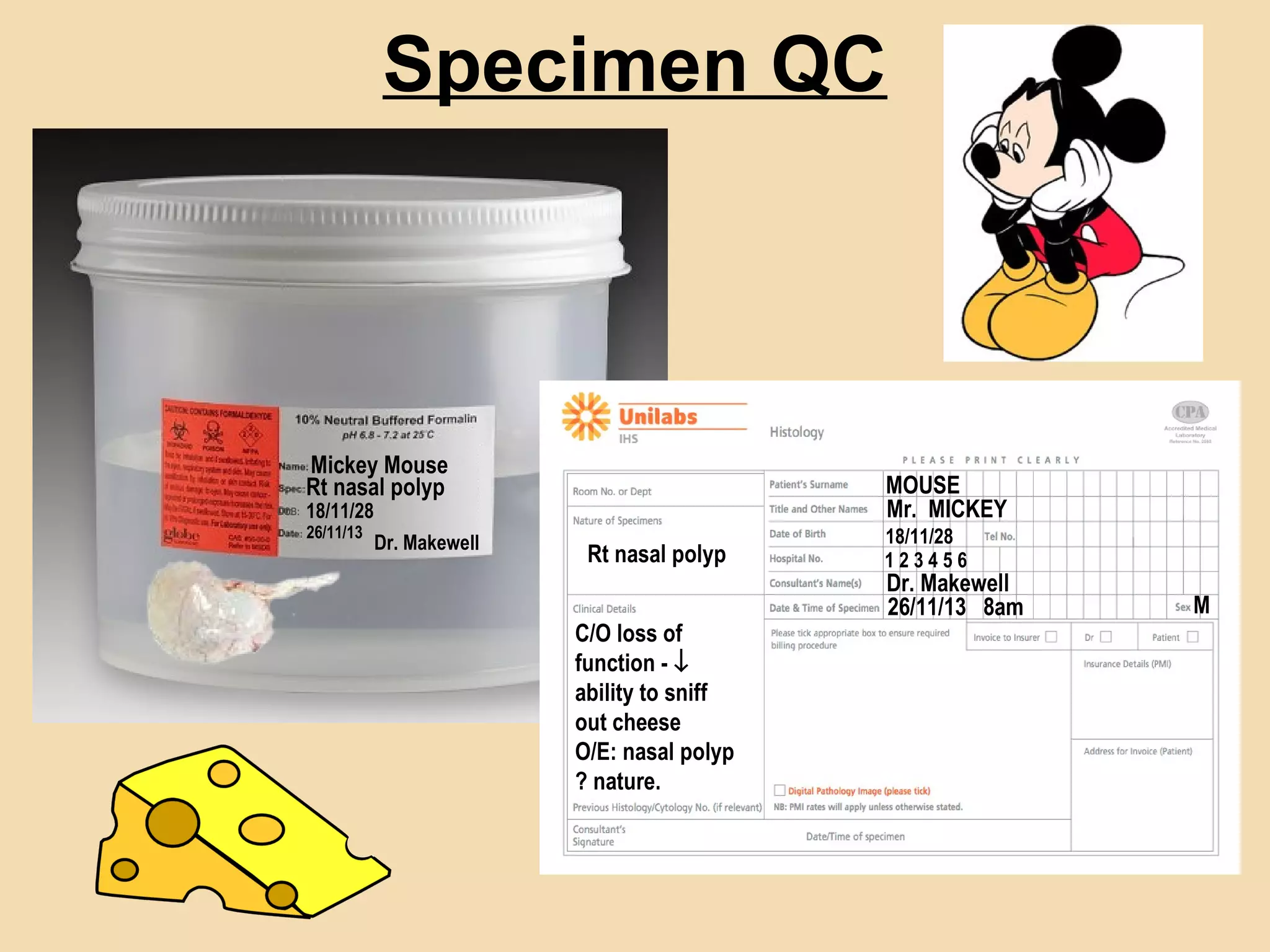 Histopathology In Practice - Sample Reception, Dissection, Processing ...