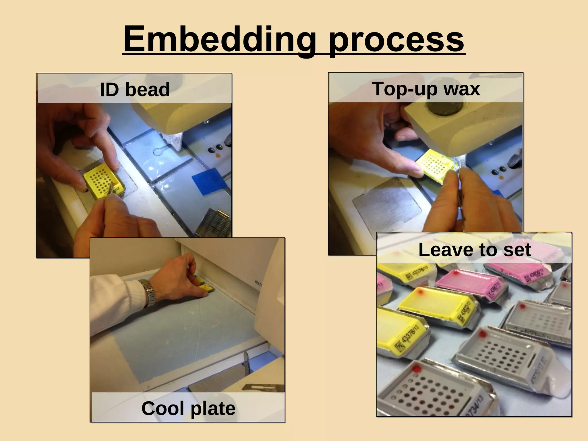 Histopathology In Practice - Sample Reception, Dissection, Processing ...