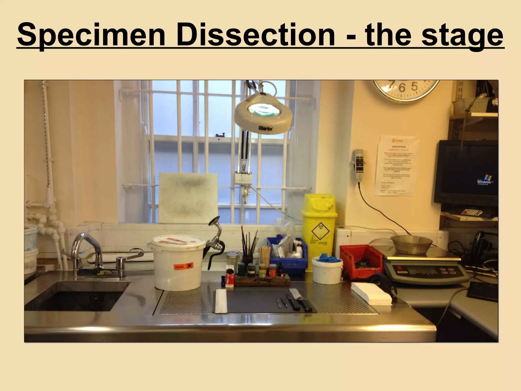 Histopathology In Practice - Sample Reception, Dissection, Processing, Embedding. | PPT
