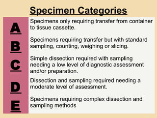 Histopathology In Practice - Sample Reception, Dissection, Processing, Embedding. | PPT