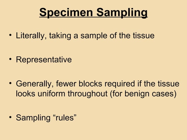 Histopathology In Practice - Sample Reception, Dissection, Processing ...