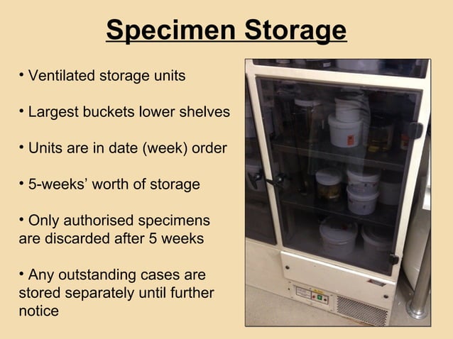 Histopathology In Practice - Sample Reception, Dissection, Processing ...