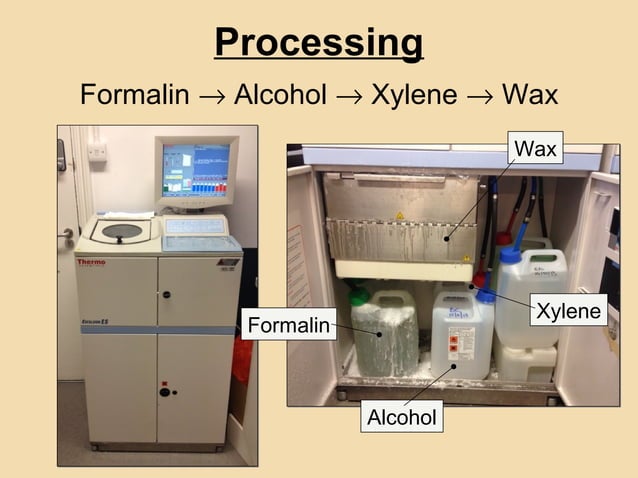 Histopathology In Practice - Sample Reception, Dissection, Processing ...