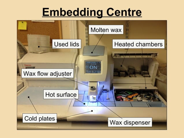 Histopathology In Practice - Sample Reception, Dissection, Processing ...