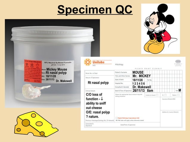 Histopathology In Practice - Sample Reception, Dissection, Processing ...