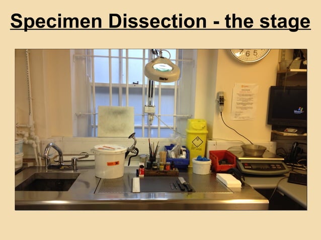 Histopathology In Practice - Sample Reception, Dissection, Processing ...